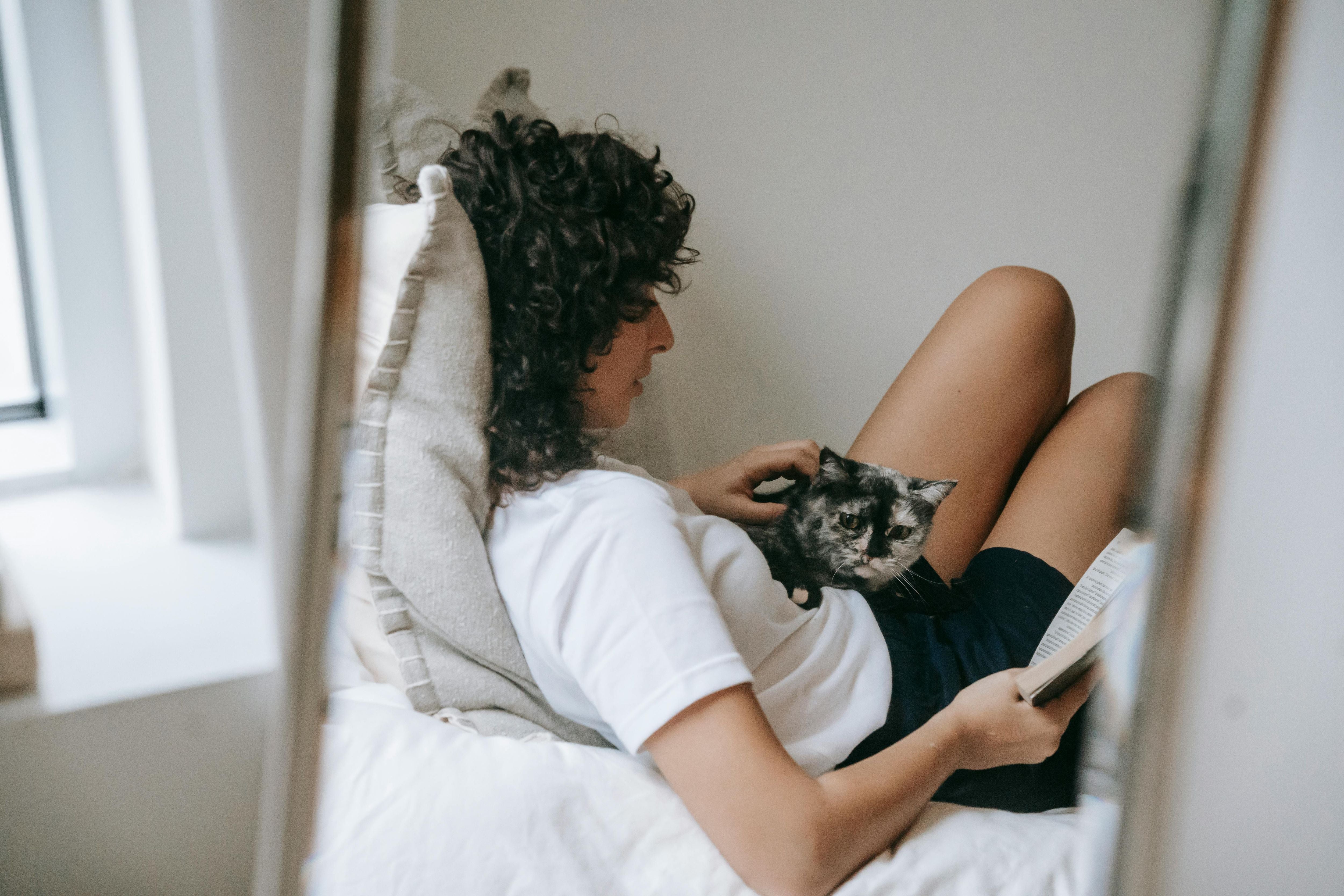 Katze bestrafen wenn sie pinkelt - Was tun? – Flappie