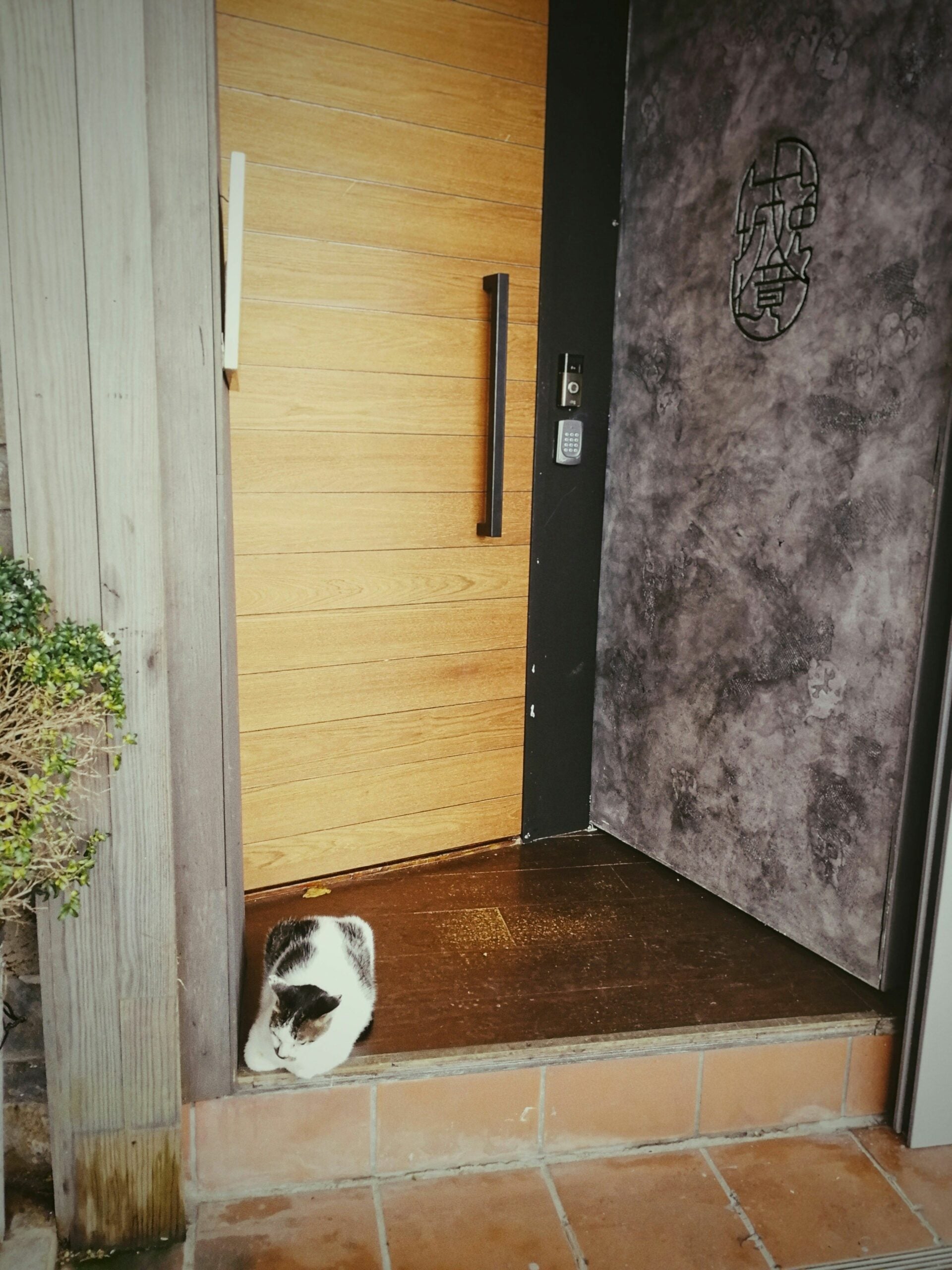 Installing a cat flap in a fire door - instructions – Flappie
