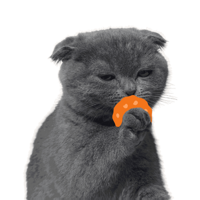 Swedish Cat Breed: A Comprehensive Guide – Flappie